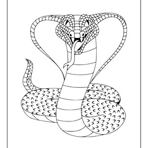 Printable Cobra Coloring Pages for Kids & Adults | 35 Pages | Instant ...