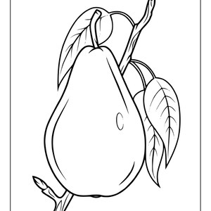 Printable Pear Coloring Pages for Kids & Adults | 35 Pages | Digital ...