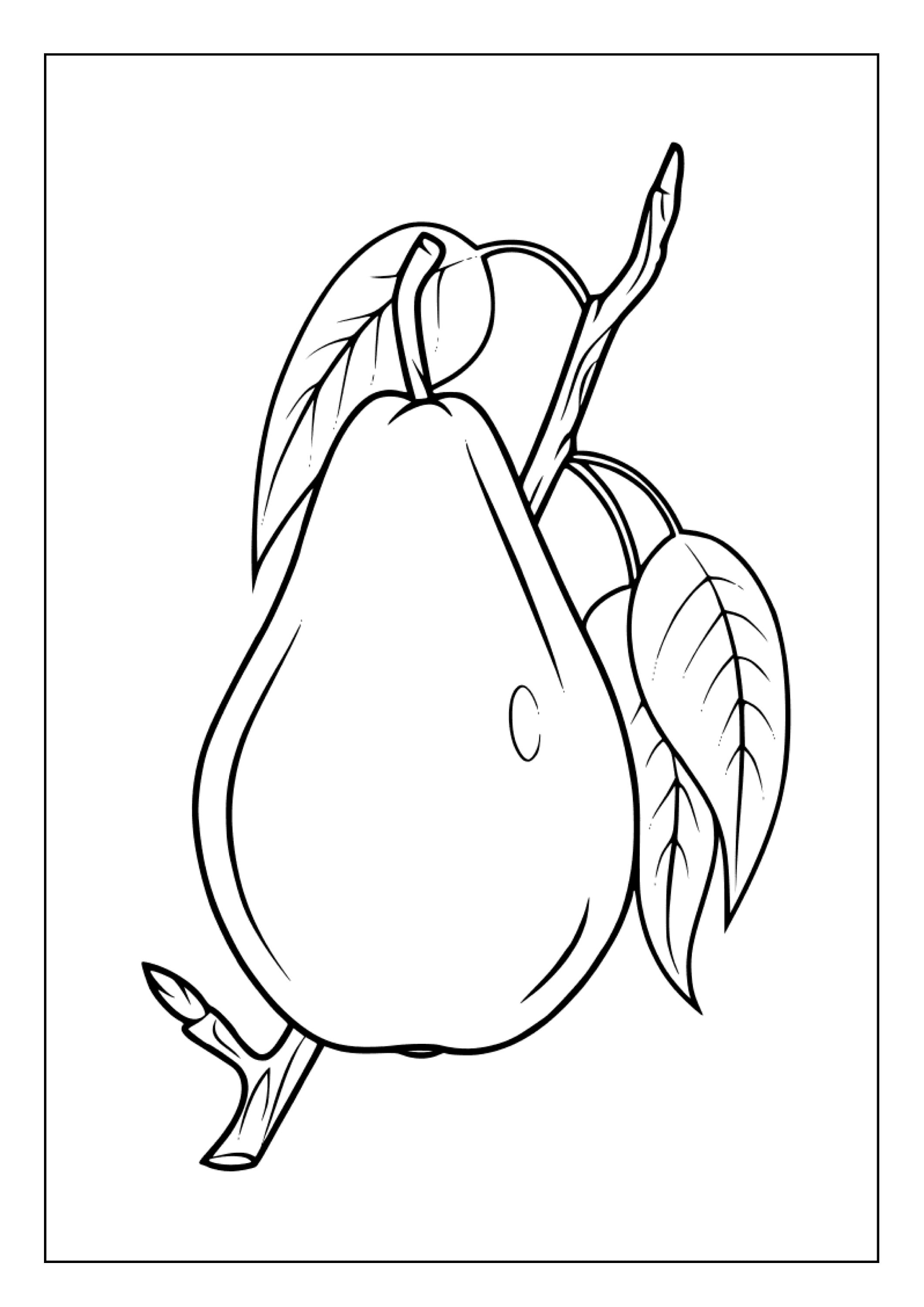 Printable Pear Coloring Pages for Kids & Adults 35 Pages - Etsy