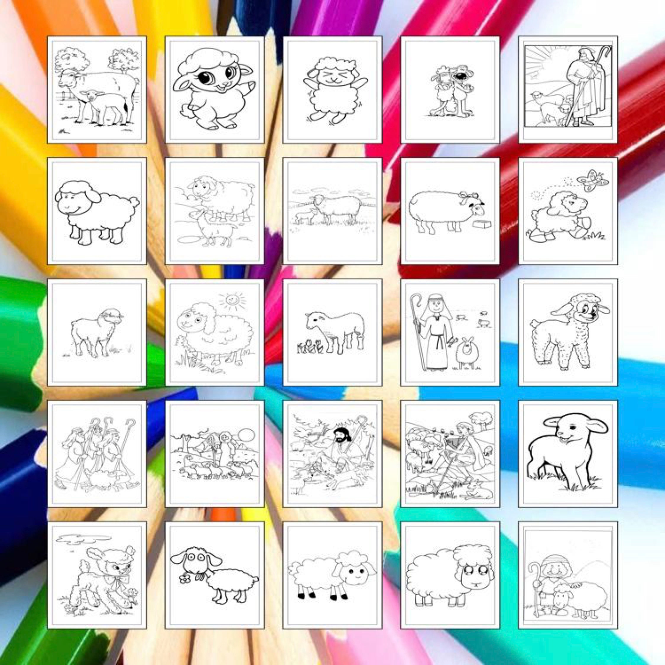 Printable Sheep Coloring Pages for Kids and Adults | 40 Pages | Instant ...