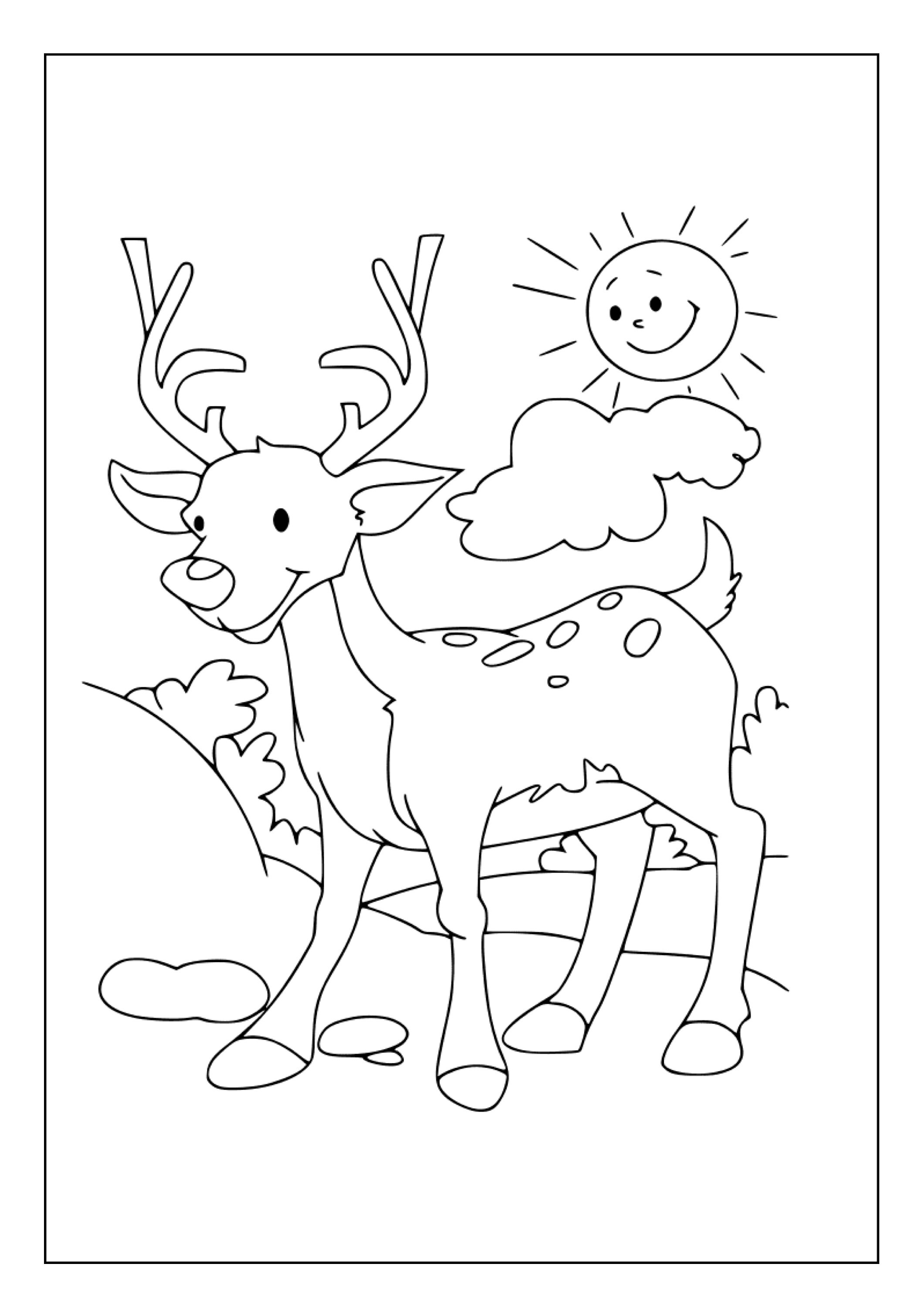 Printable Deer Coloring Pages for Kids and Adults 100 Pages Instant ...