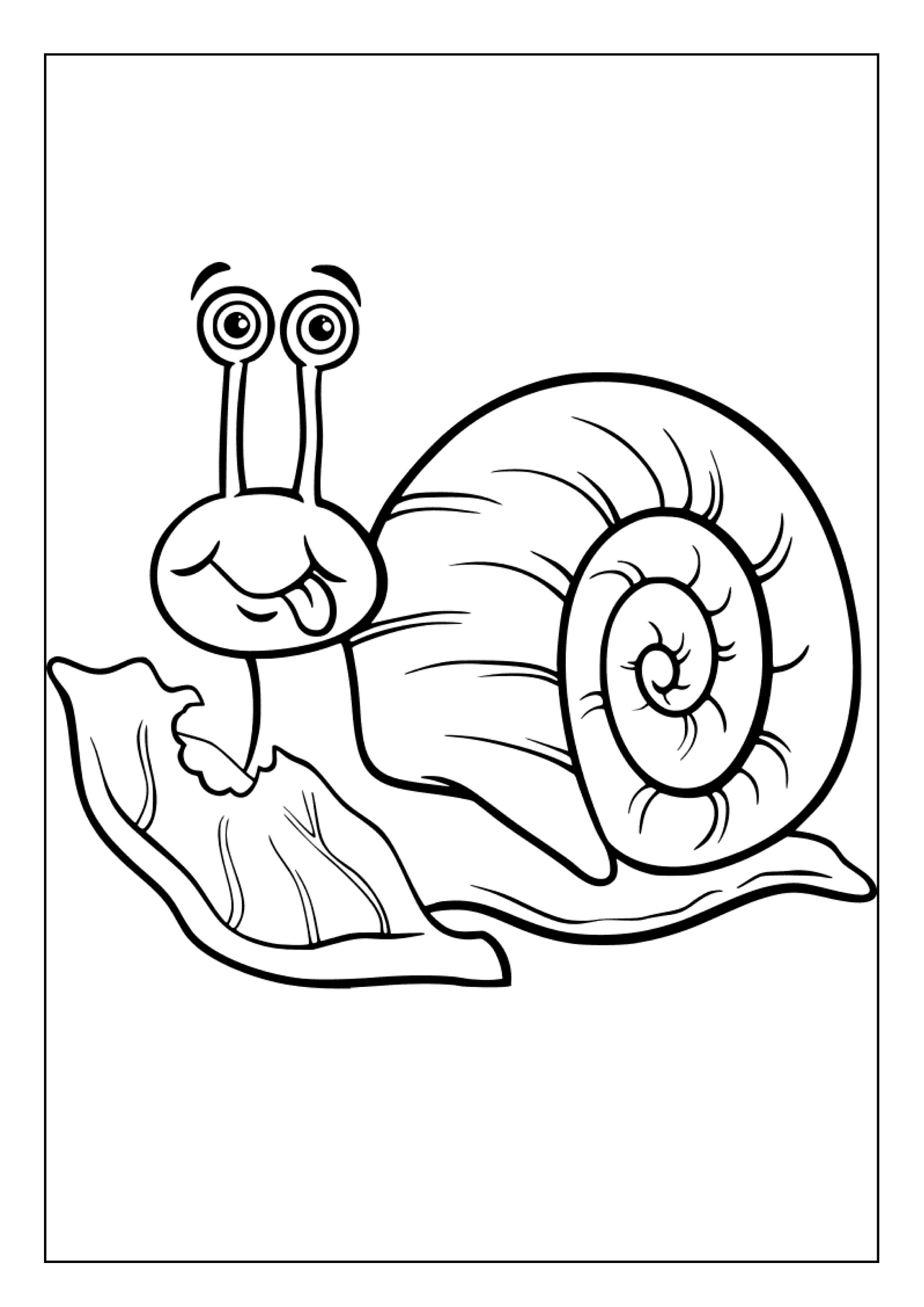 Printable Snail Coloring Pages for Kids and Adults | 90 Pages | Instant ...