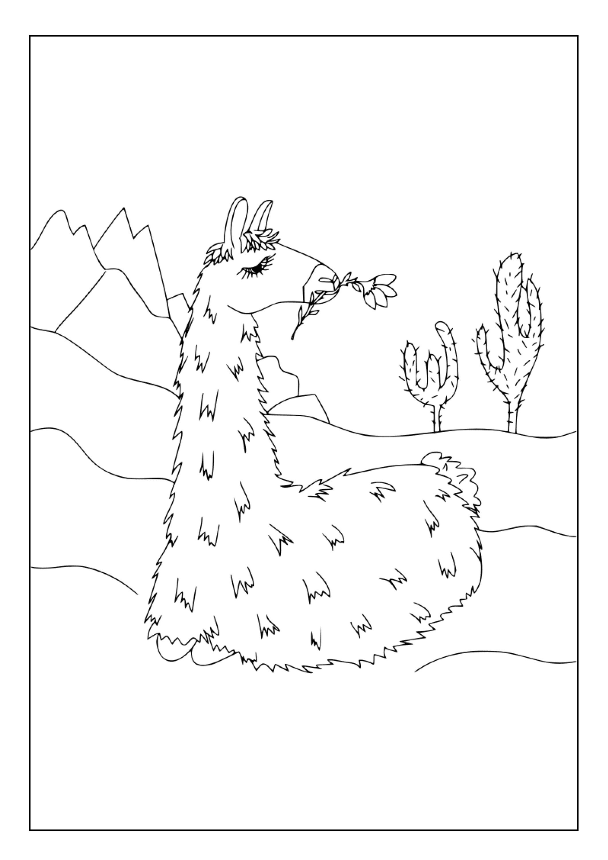 Printable Llama Coloring Pages for Kids & Adults | 85 Pages | Instant ...