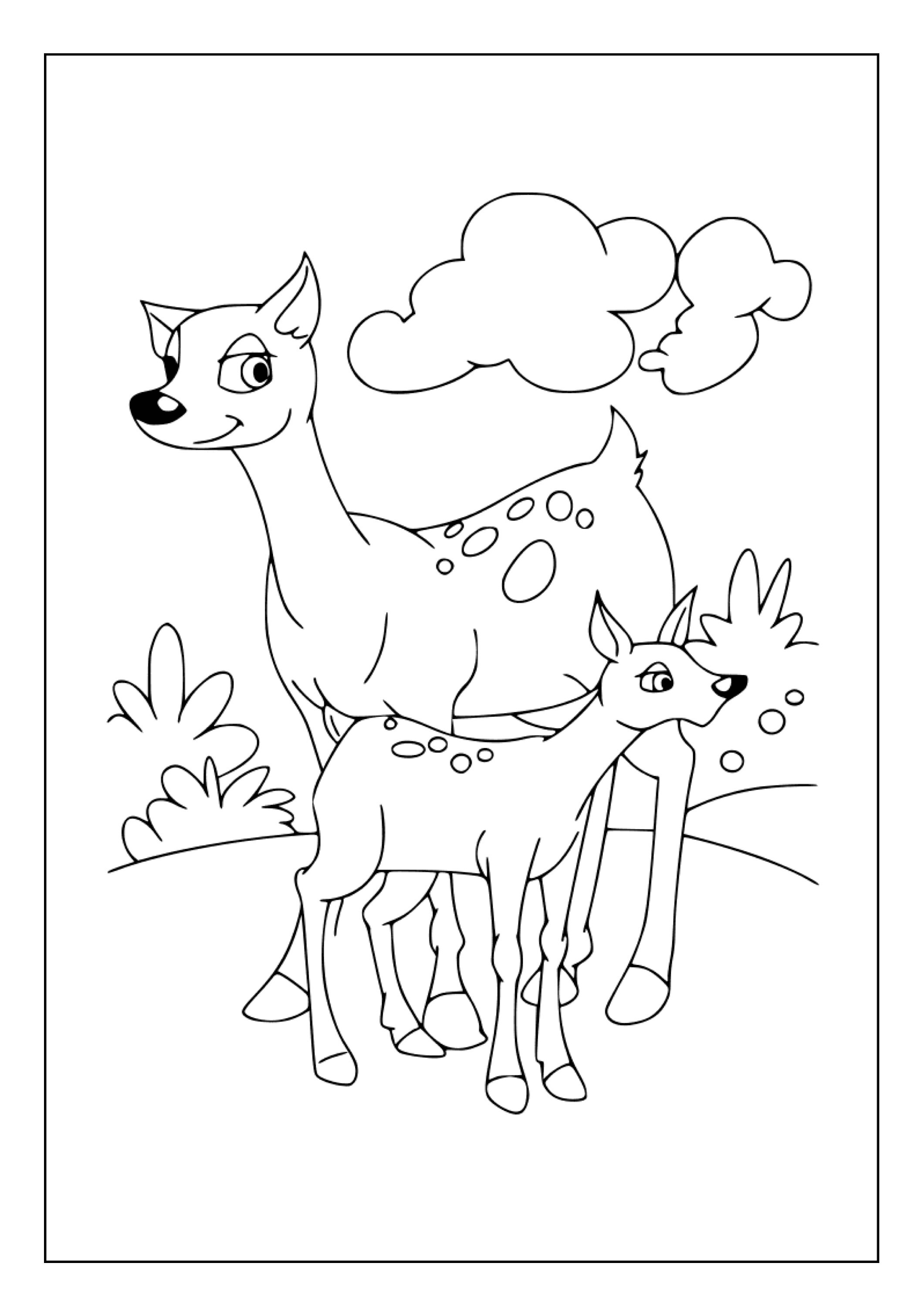 Printable Deer Coloring Pages for Kids and Adults 100 Pages Instant ...