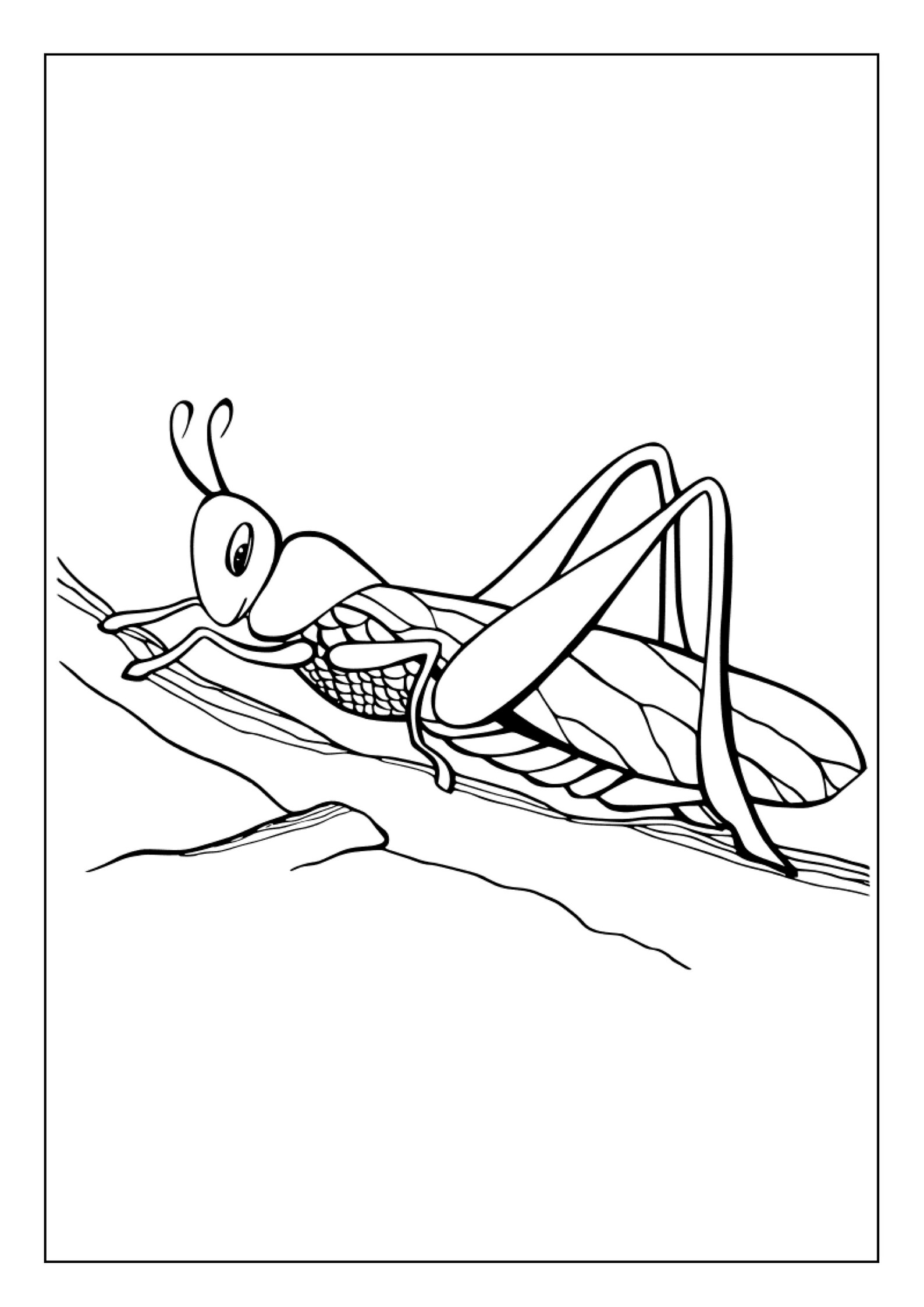 Printable Enchanting Grasshopper Coloring Pages for Kids & Adults | 35 ...