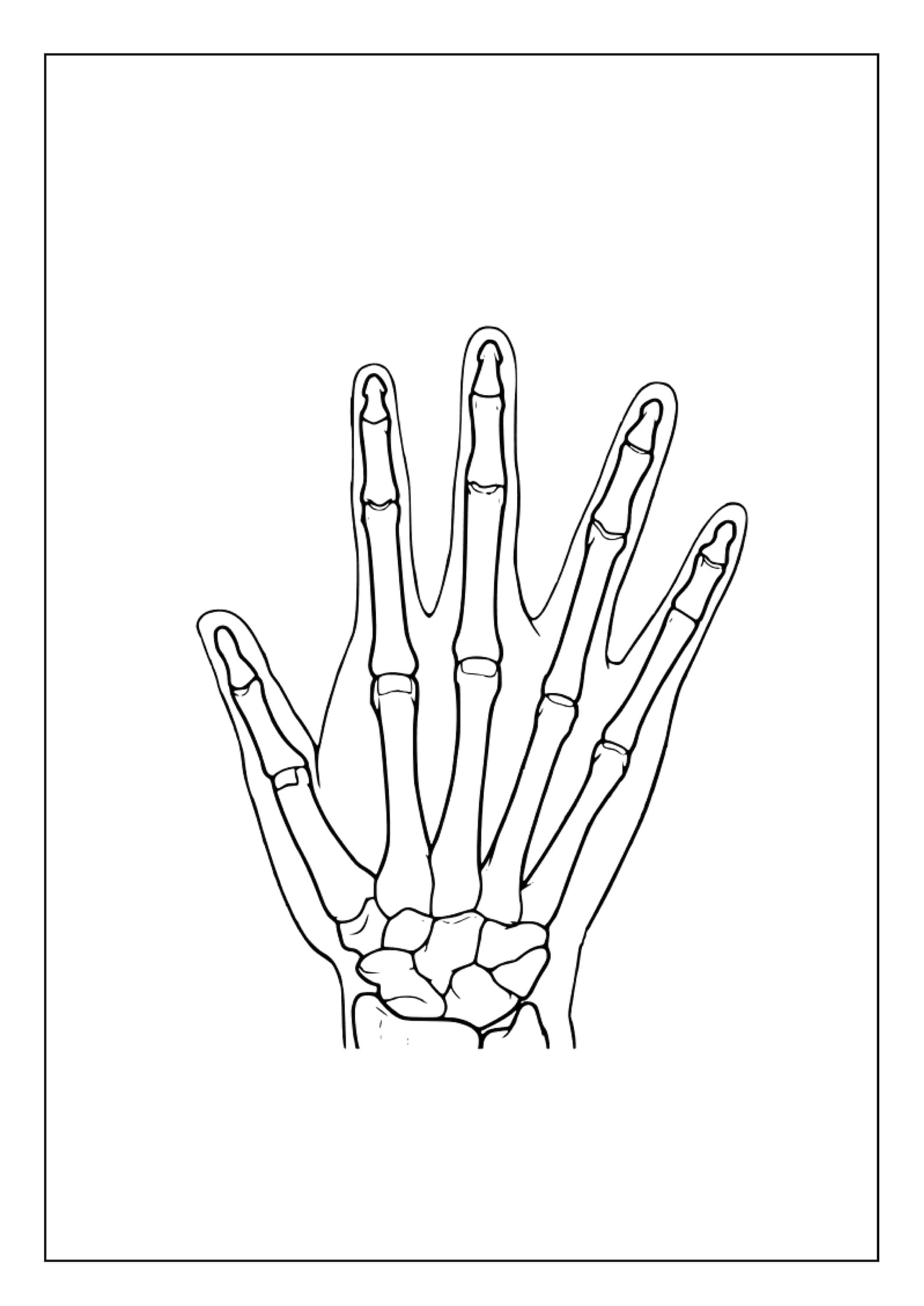Printable Anatomy Coloring Pages for Kids & Adults | 85 Pages | Instant ...