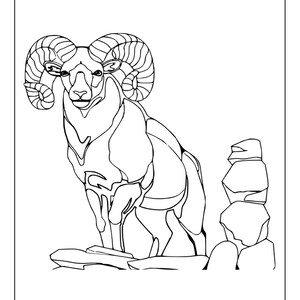 Printable Ram Coloring Pages for Kids & Adults | 35 Pages | Instant ...
