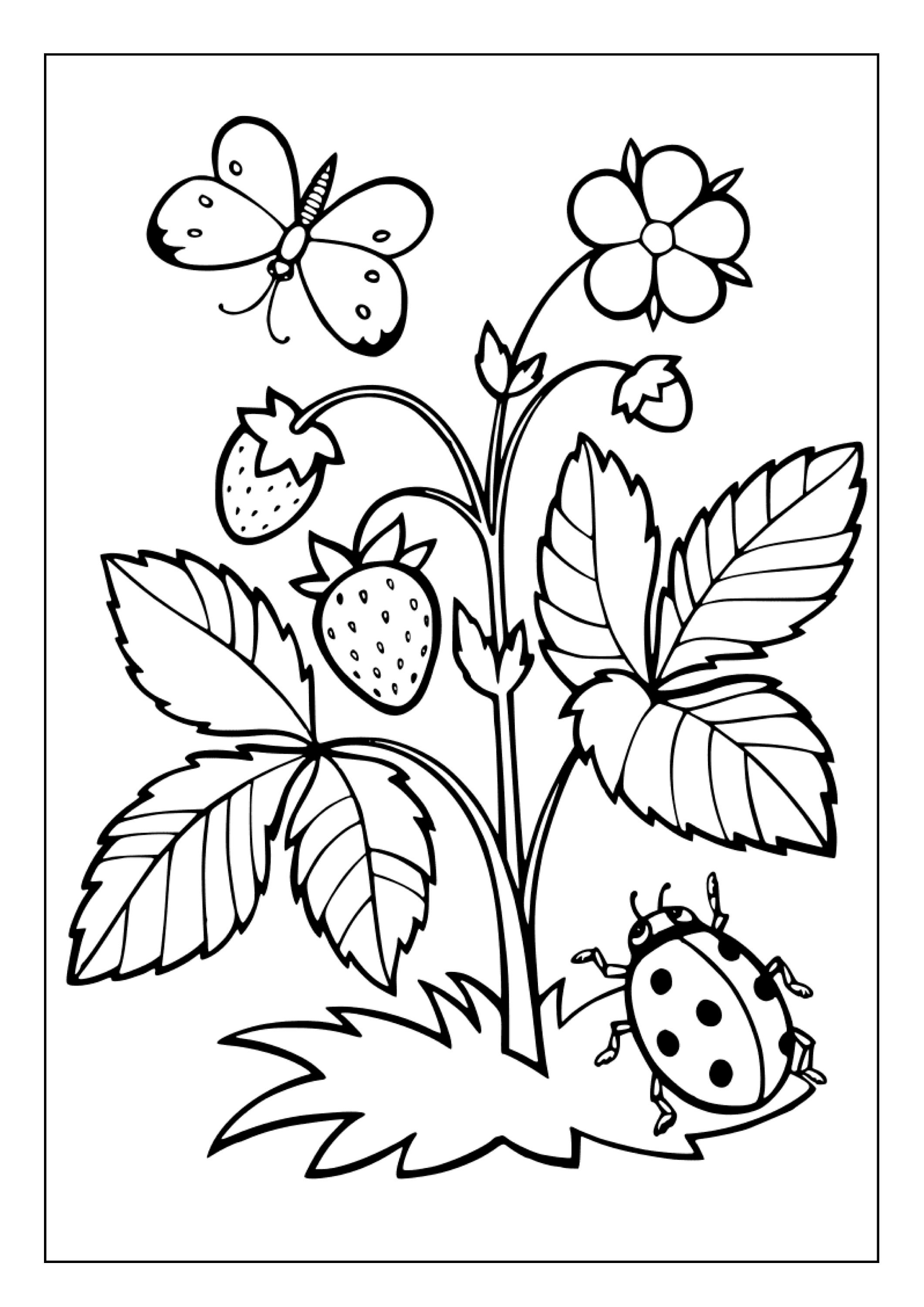 Printable Plants Coloring Pages for Kids & Adults | 25 Pages | Instant ...