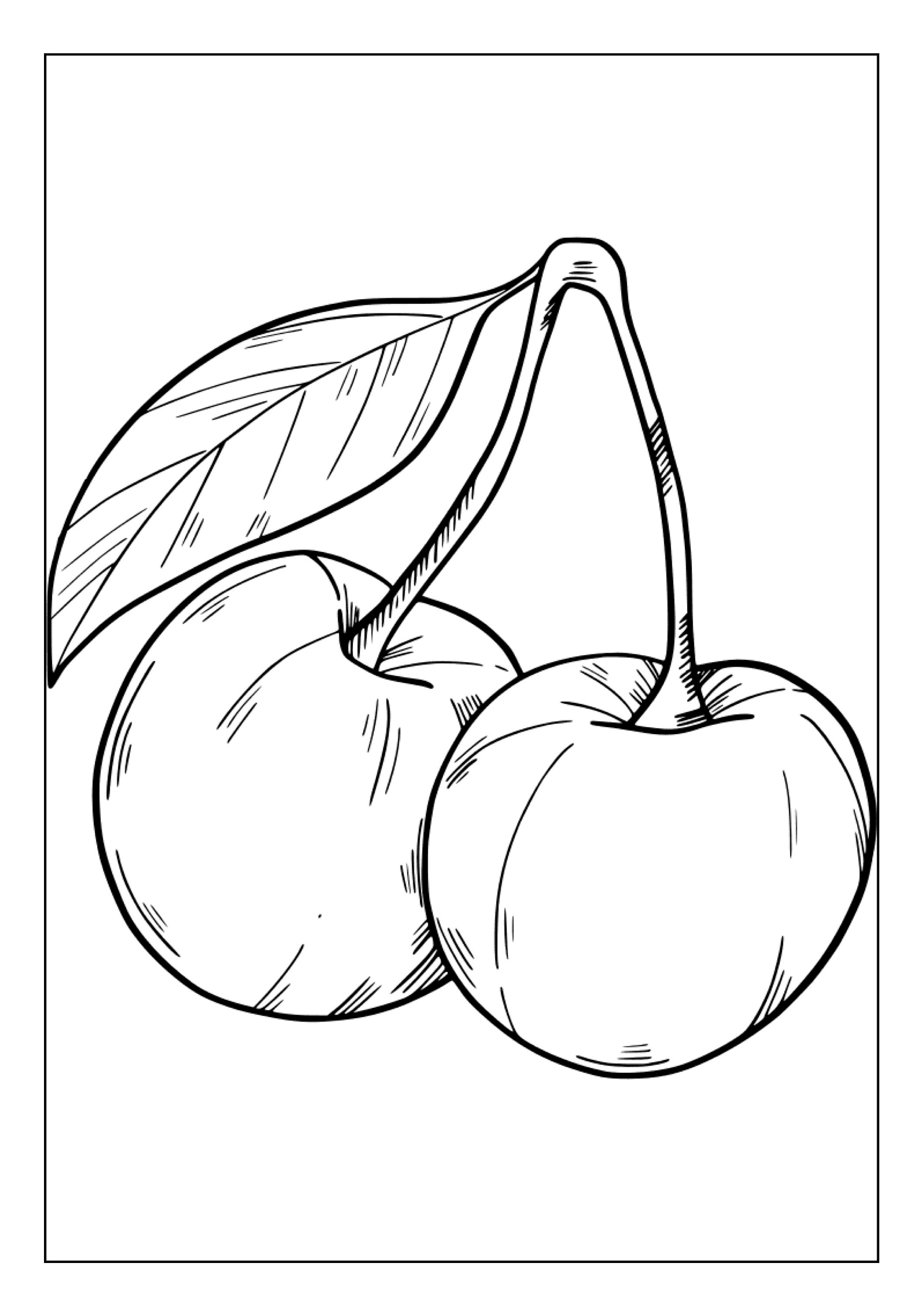 Printable Cherry Coloring Pages for Kids & Adults | 35 Pages | Instant ...