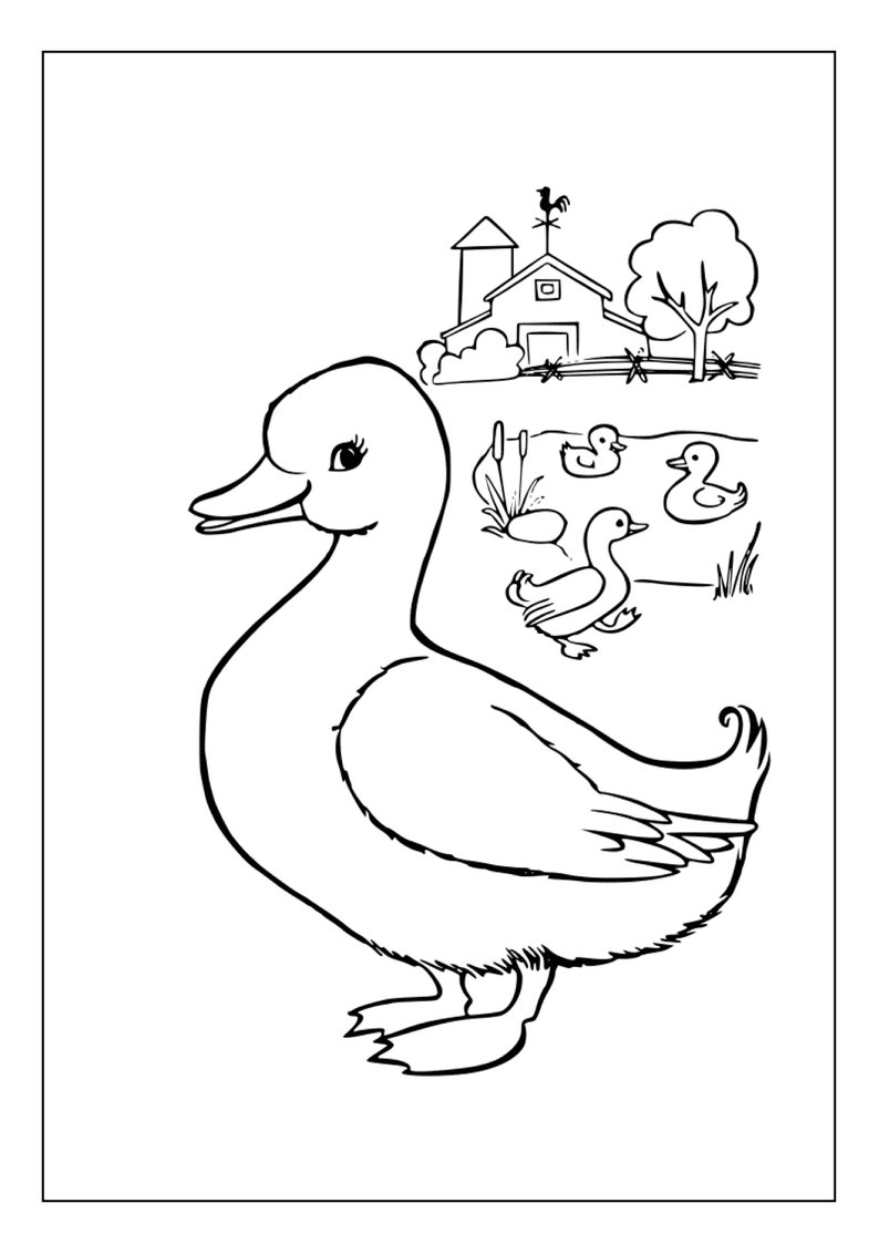 Printable Ducks Coloring Pages for Kids and Adults 50 Pages Instant ...