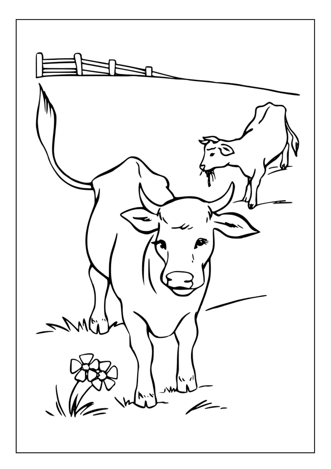 Printable Cow Coloring Pages for Kids and Adults 90 Pages Instant ...