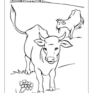 Printable Cow Coloring Pages for Kids and Adults | 90 Pages | Instant ...