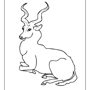 Printable Antelope Coloring Pages for Kids & Adults |35 Pages | Digital ...