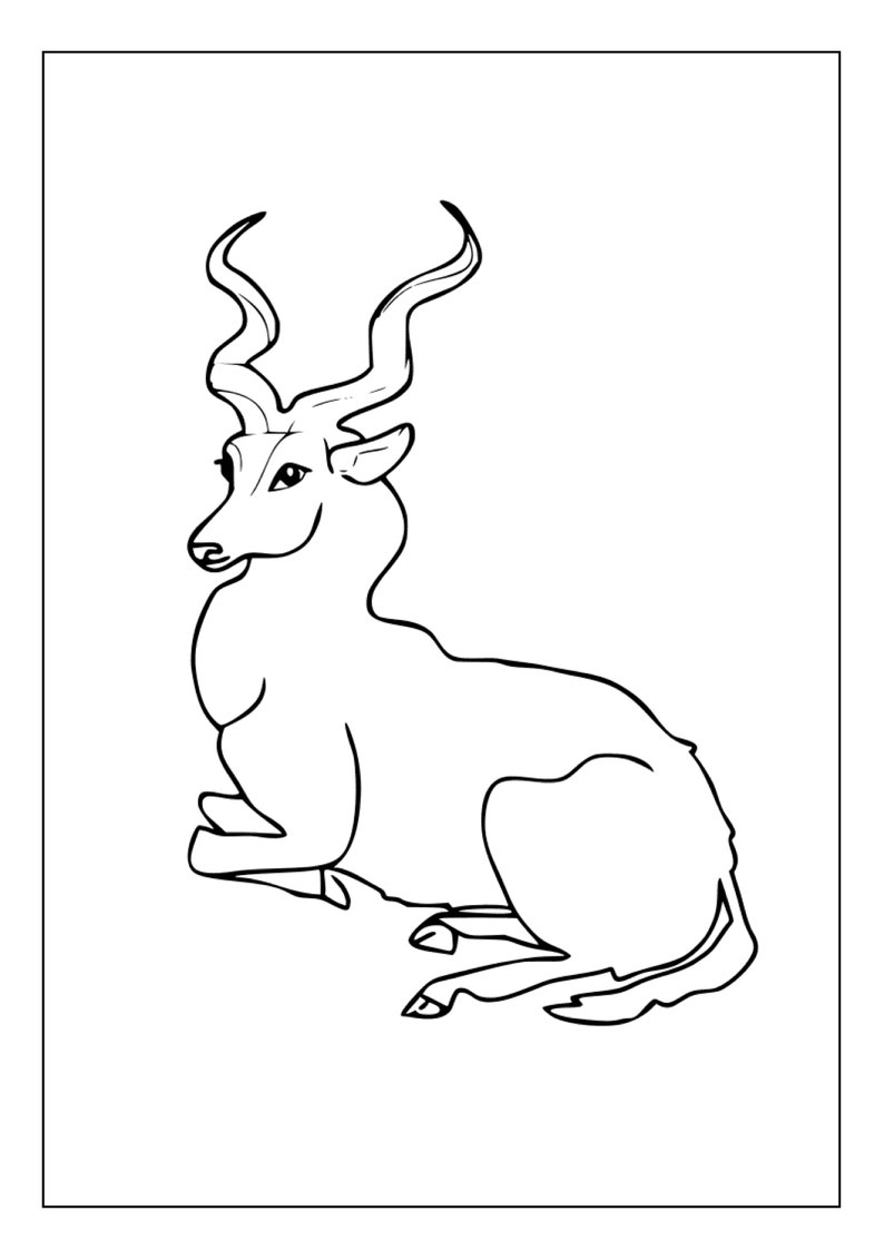 Printable Antelope Coloring Pages for Kids & Adults |35 Pages | Digital ...