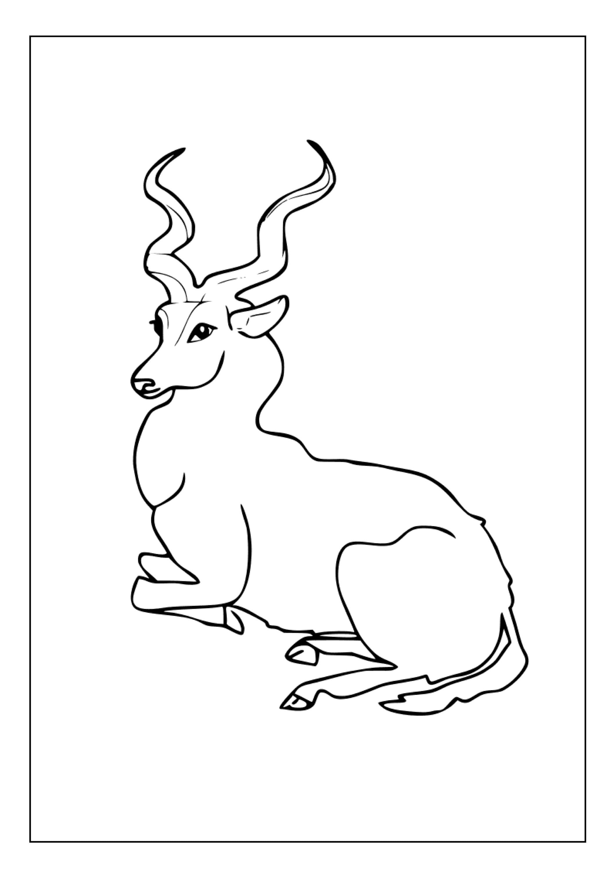 Printable Antelope Coloring Pages for Kids & Adults |35 Pages | Digital ...