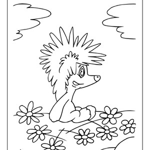 Printable Hedgehogs Coloring Pages for Kids and Adults | 90 Pages ...