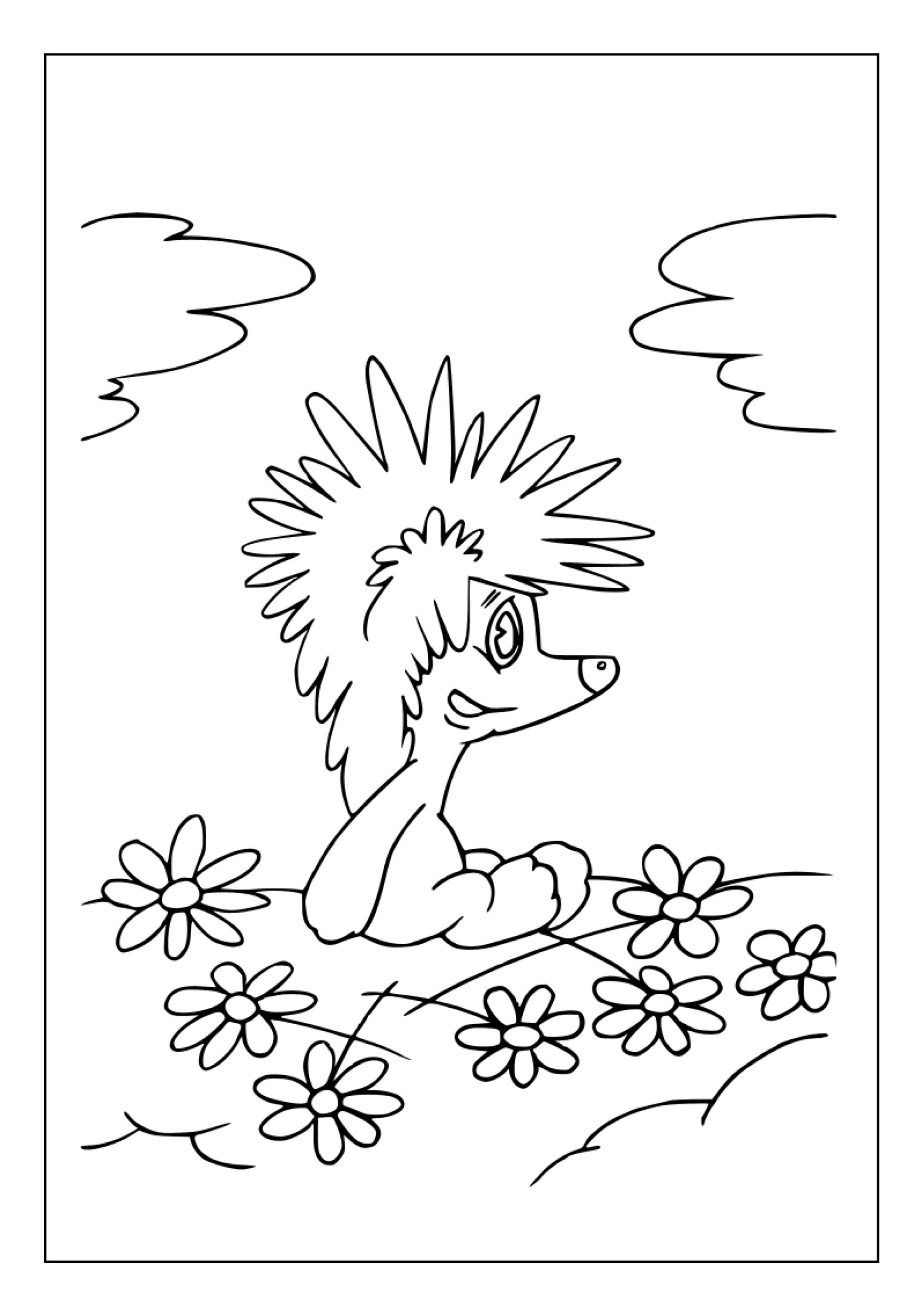 Printable Hedgehogs Coloring Pages for Kids and Adults | 90 Pages ...