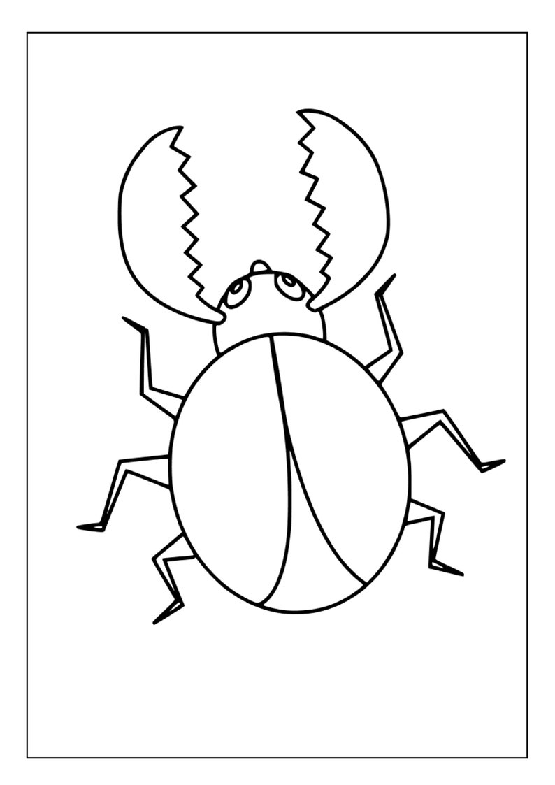 Printable Beetles Coloring Pages for Kids & Adults | 45 Pages | Instant ...