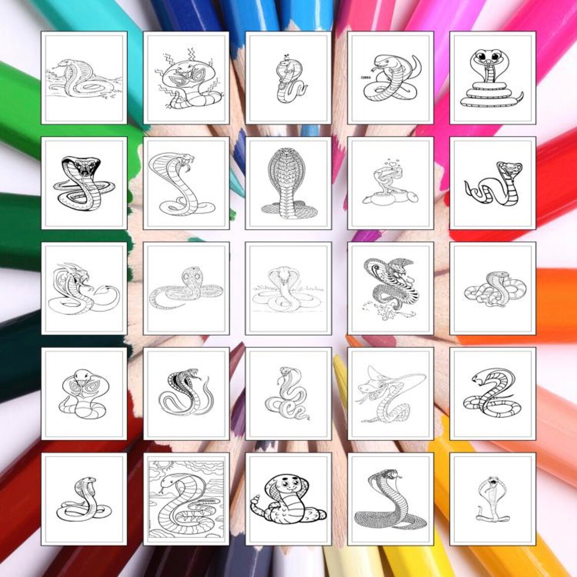 Printable Cobra Coloring Pages for Kids & Adults | 35 Pages | Instant ...