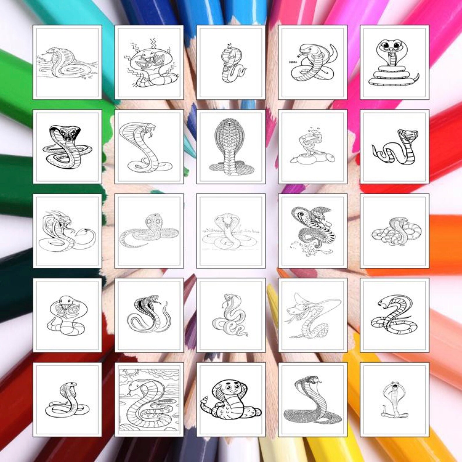 Printable Cobra Coloring Pages for Kids & Adults | 35 Pages | Instant ...