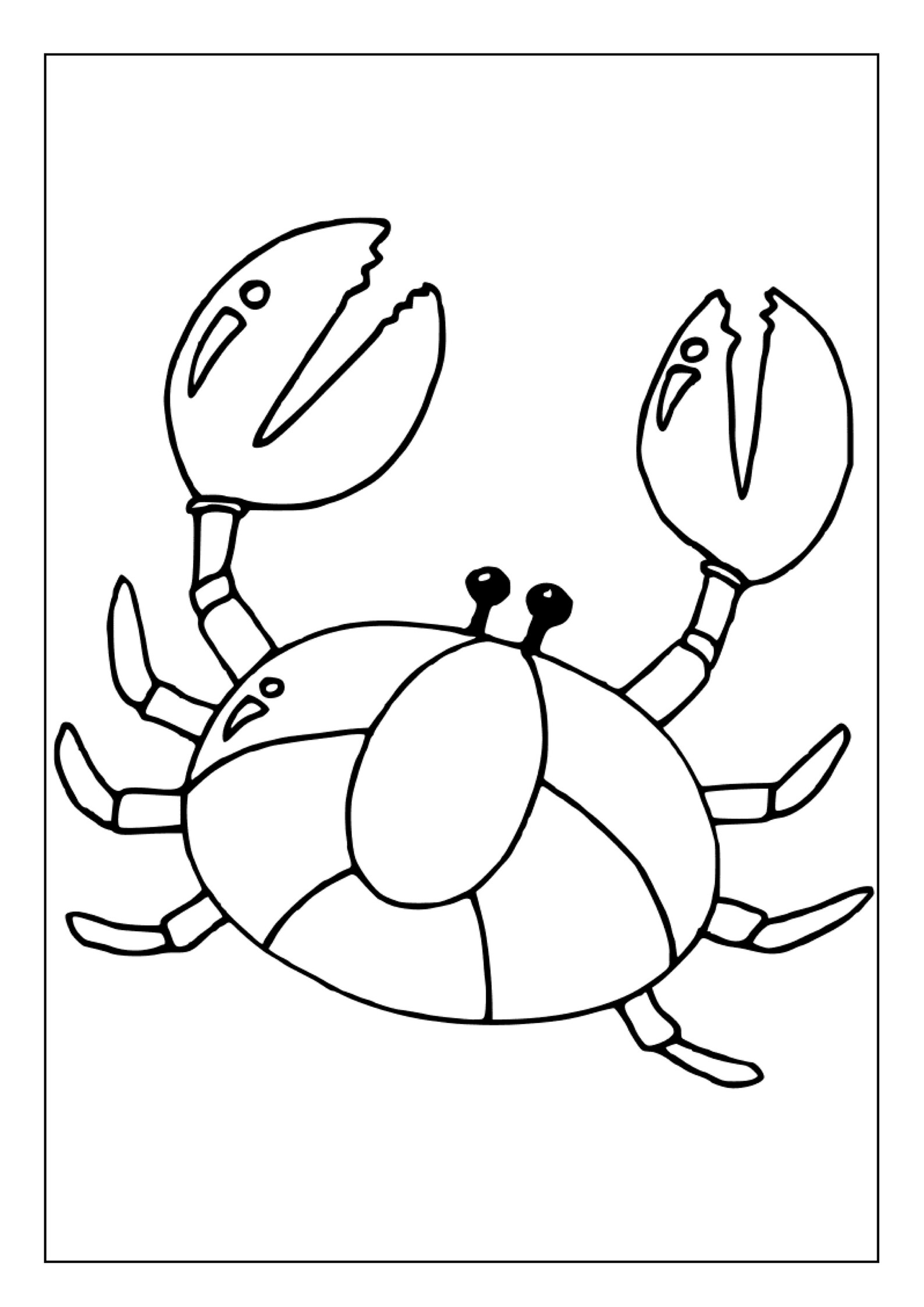 Printable Crabs Coloring Pages for Kids and Adults | 40 Pages | Instant ...