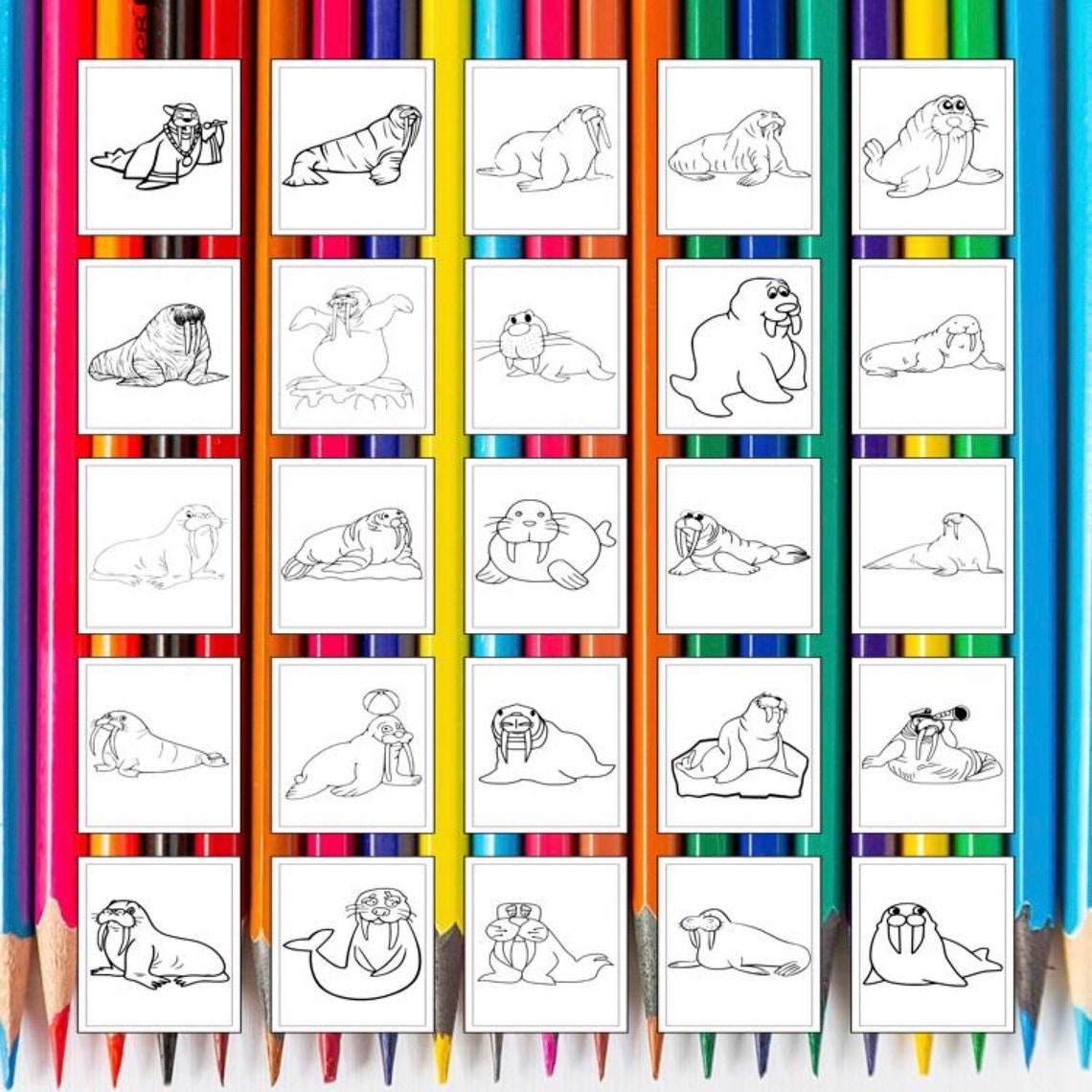 Printable Walrus Coloring Pages for Kids & Adults | 30 Pages | Instant ...