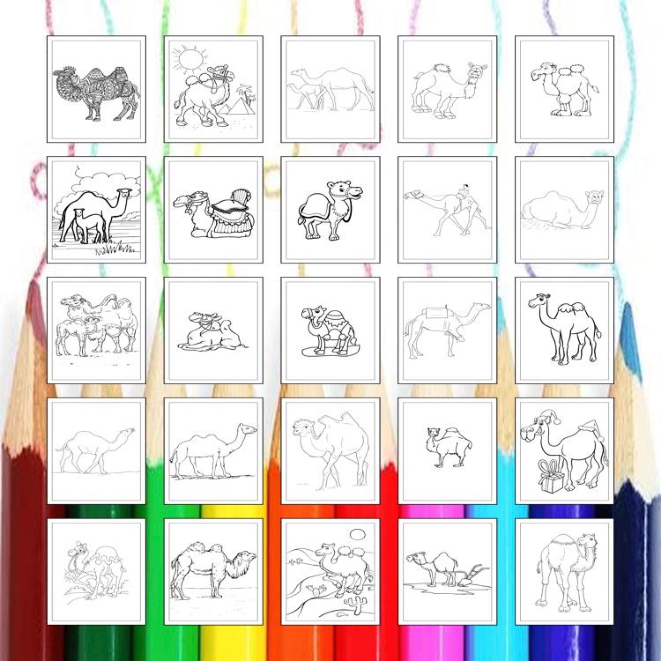 Printable Camels Coloring Pages for Kids & Adults | 50 Pages | Instant ...