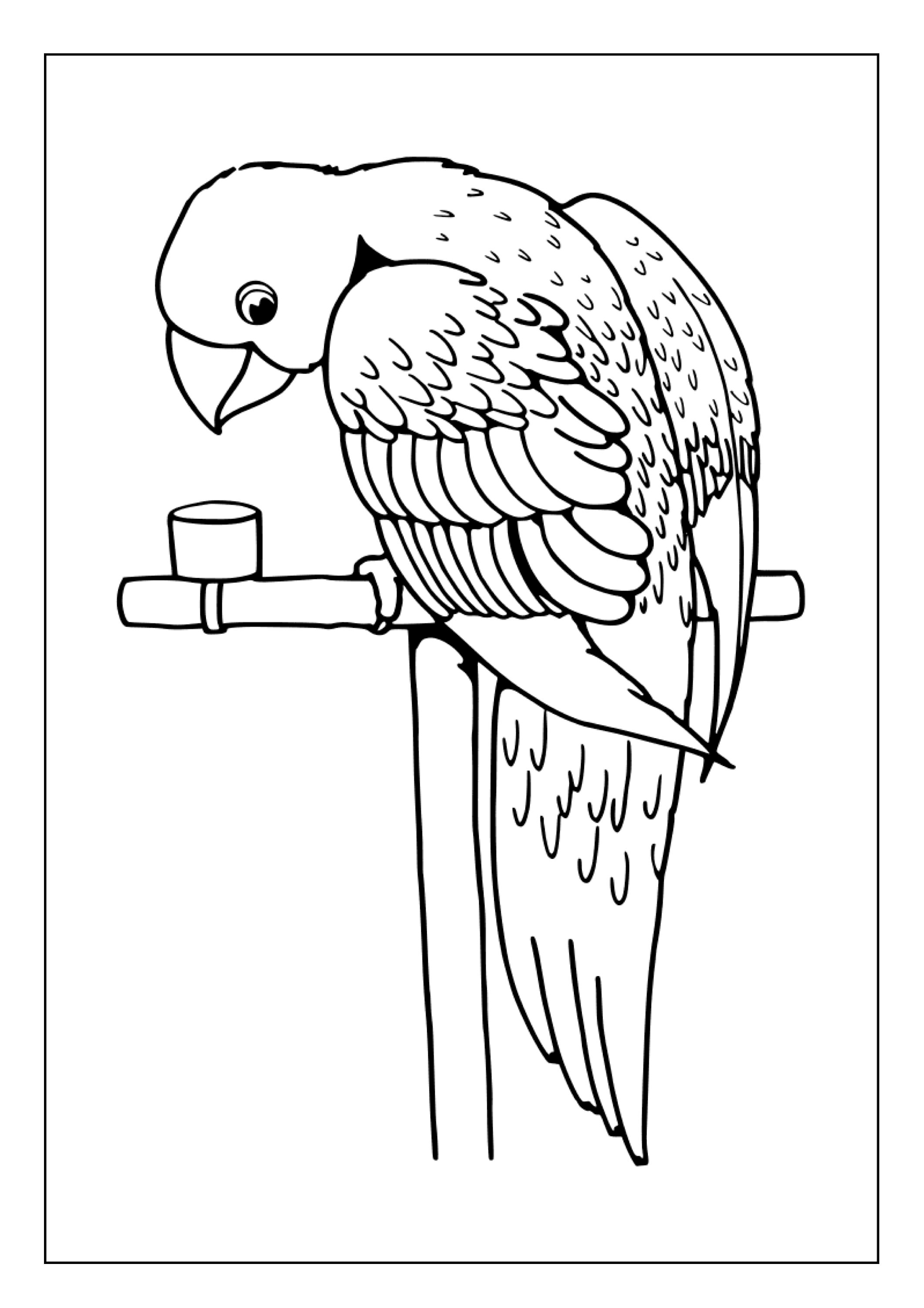 Printable Parrot Coloring Pages for Kids and Adults | 85 Pages ...