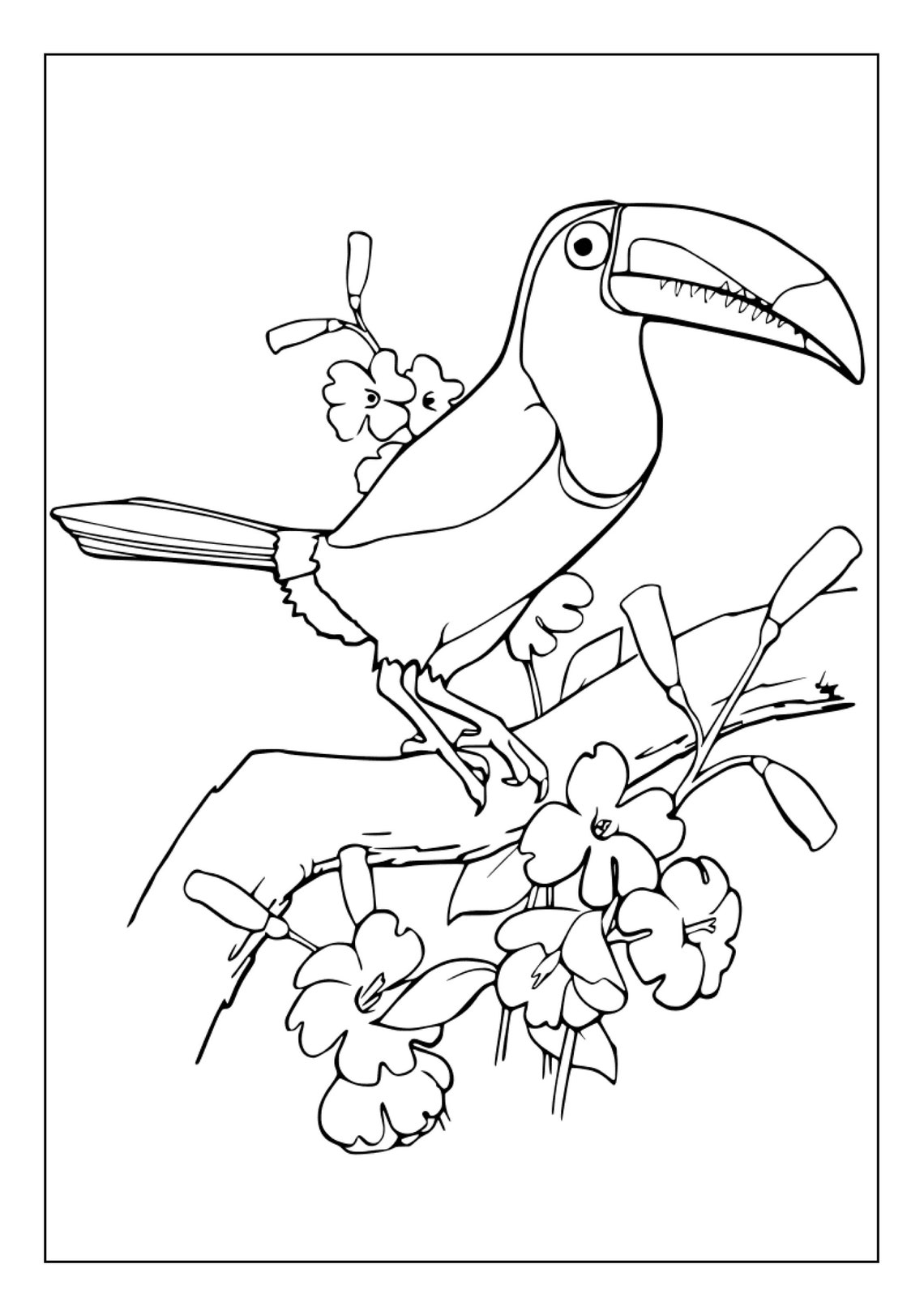 Printable Toucan Coloring Pages for Kids & Adults | 35 Pages | Instant ...
