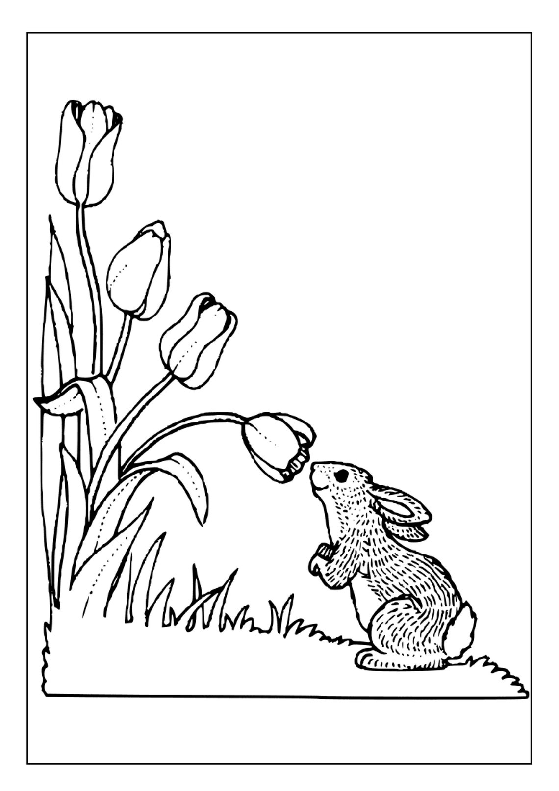 Printable Tulip Coloring Pages for Kids & Adults | 40 Pages | Digital ...