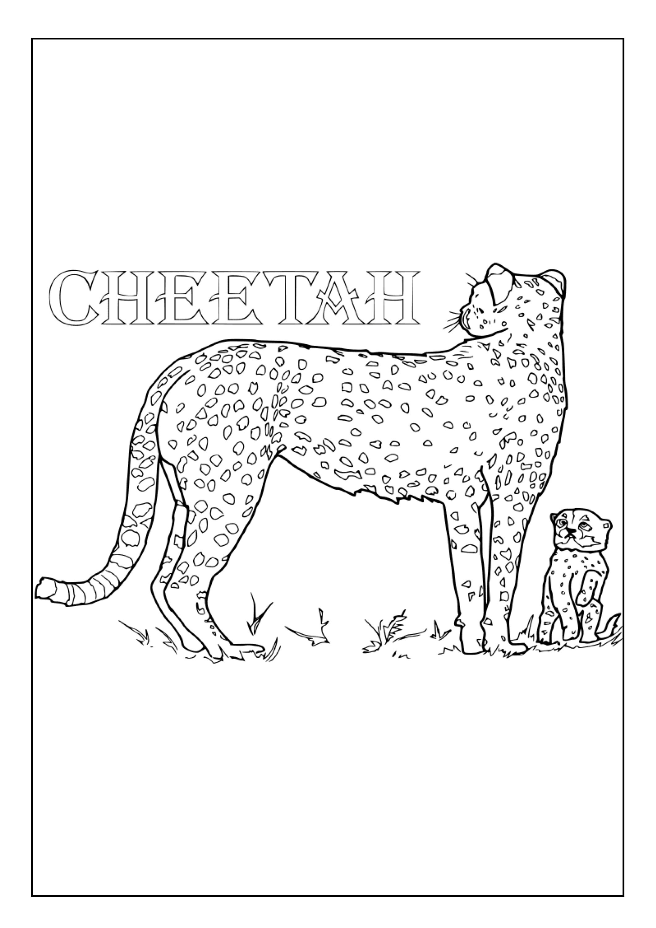Printable Cheetah Coloring Pages for Kids & Adults | 90 Pages | Instant ...
