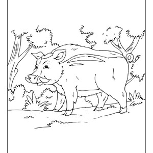 Printable Boar Coloring Pages for Kids & Adults |30 Pages | Instant ...