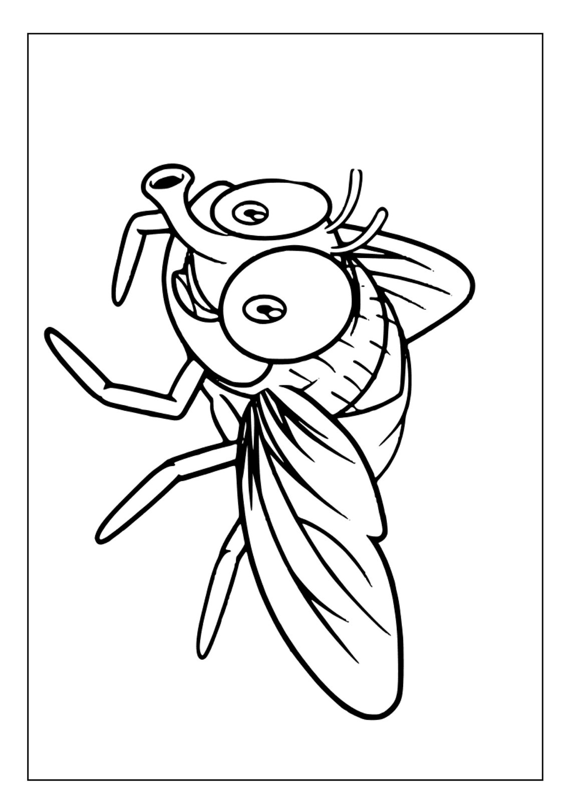 Printable Fly Coloring Pages for Kids & Adults | 25 Pages | Instant ...