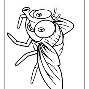 Printable Fly Coloring Pages for Kids & Adults | 25 Pages | Instant ...