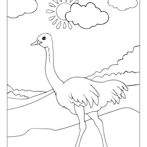 Printable Ostrich Coloring Pages for Kids & Adults | 35 Pages | Digital ...