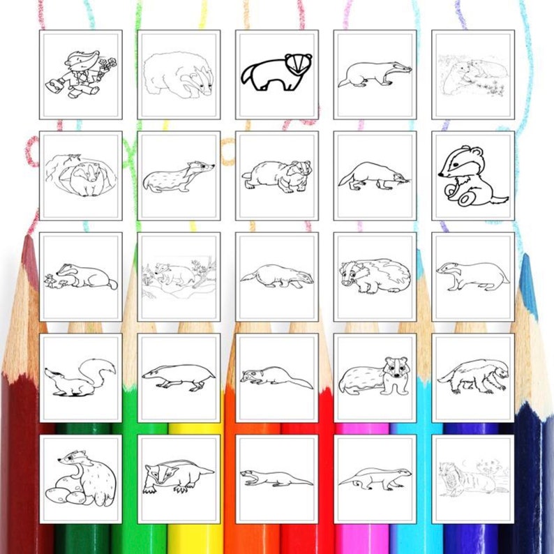 Printable Badger Coloring Pages for Kids & Adults | 30 Pages | Instant ...