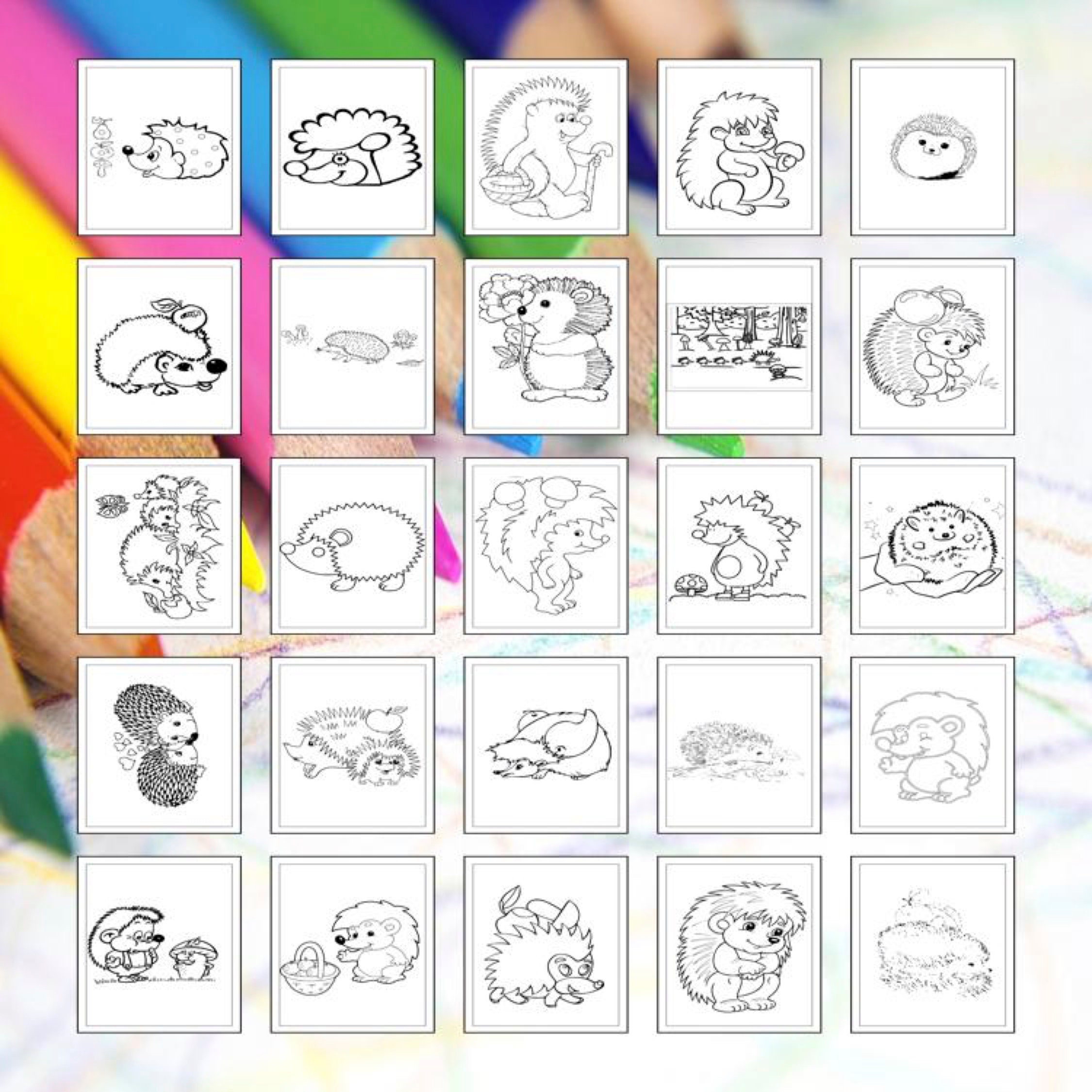 Printable Hedgehogs Coloring Pages for Kids and Adults | 90 Pages ...