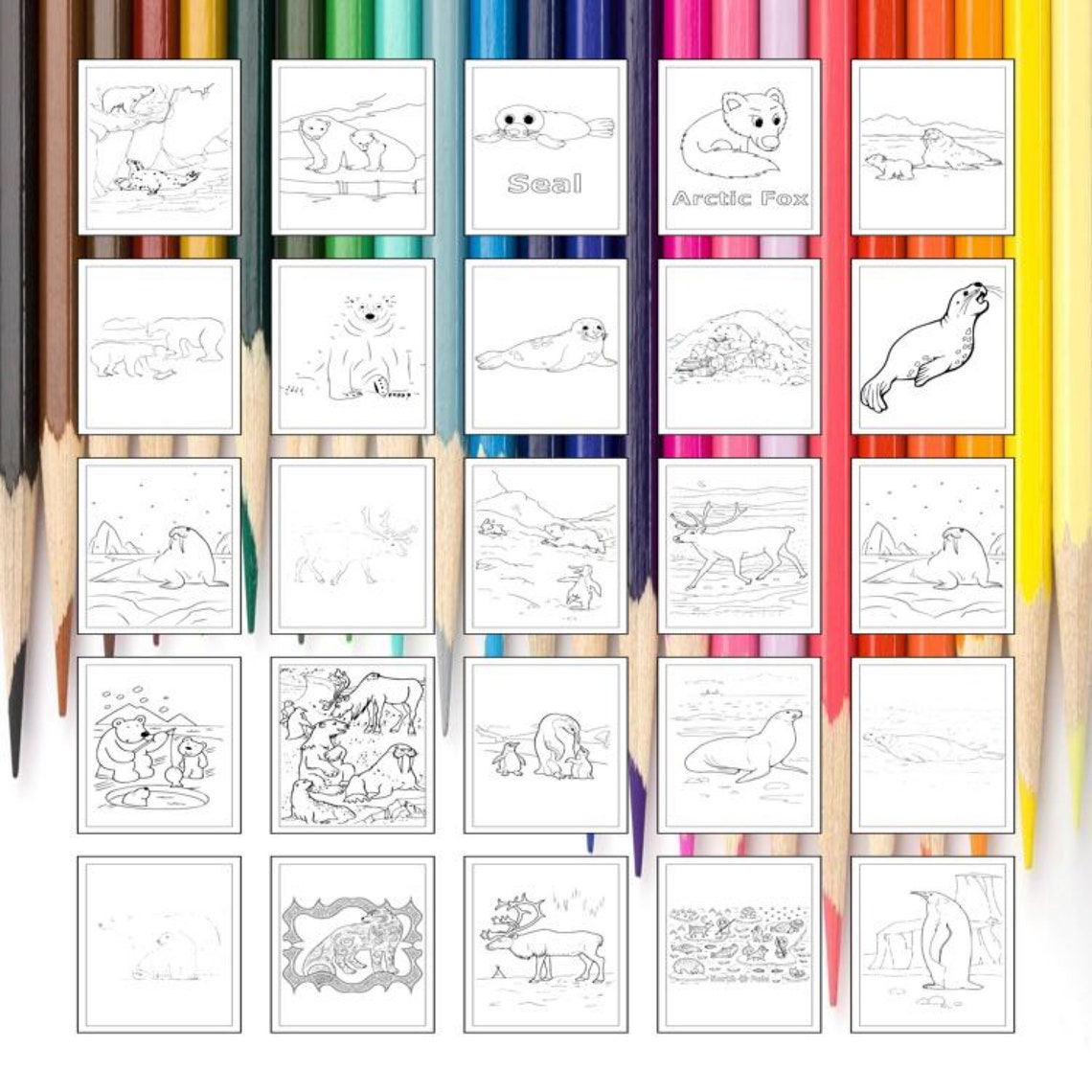 Printable Arctic Animals Coloring Pages for Kids and Adults |100 Pages ...