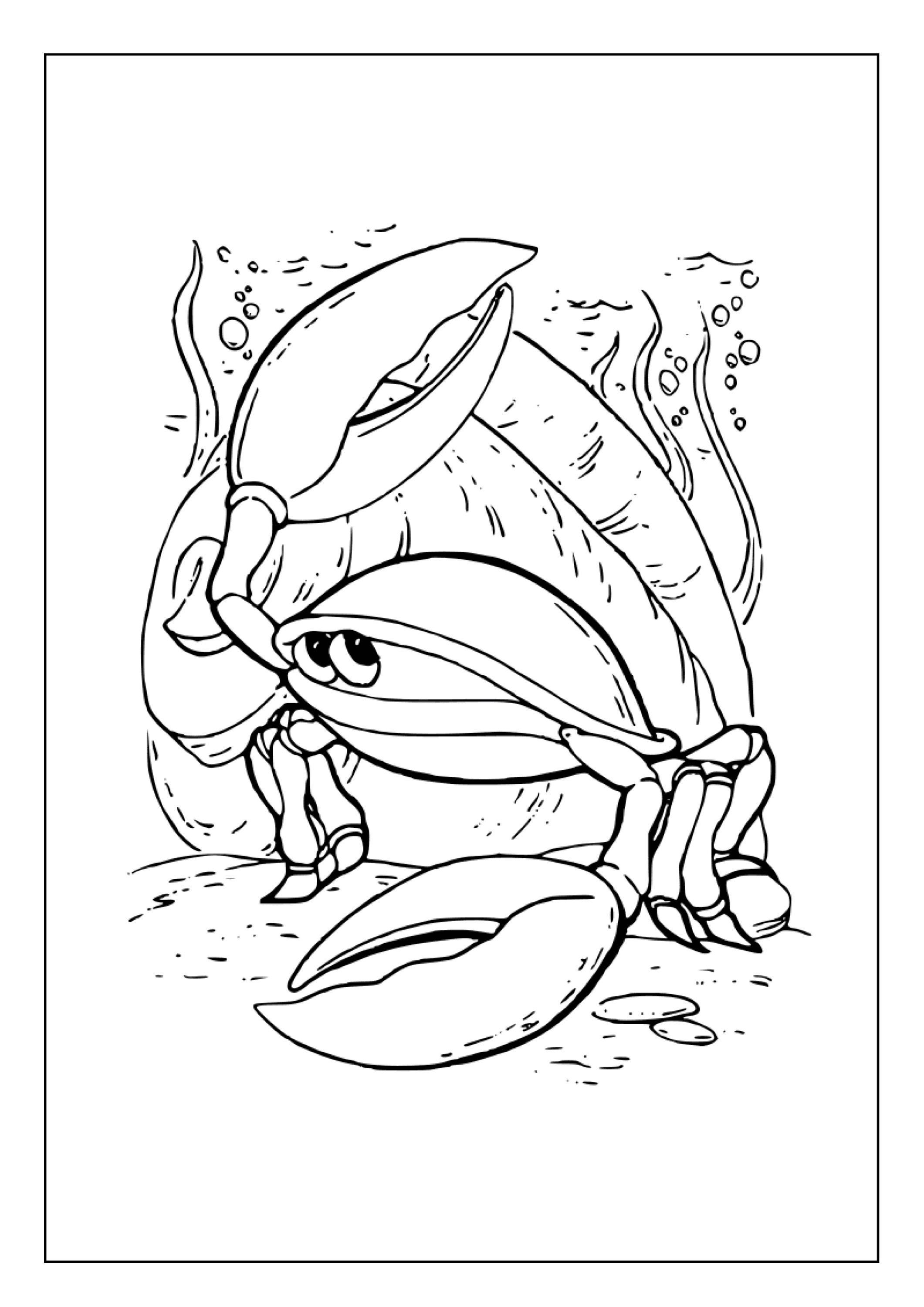 Printable Sea Animals Coloring Pages for Kids & Adults 25 Pages Instant ...