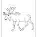 Printable Moose Coloring Pages for Kids & Adults | 35 Pages | Instant ...