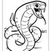 Printable Cobra Coloring Pages for Kids & Adults | 35 Pages | Instant ...