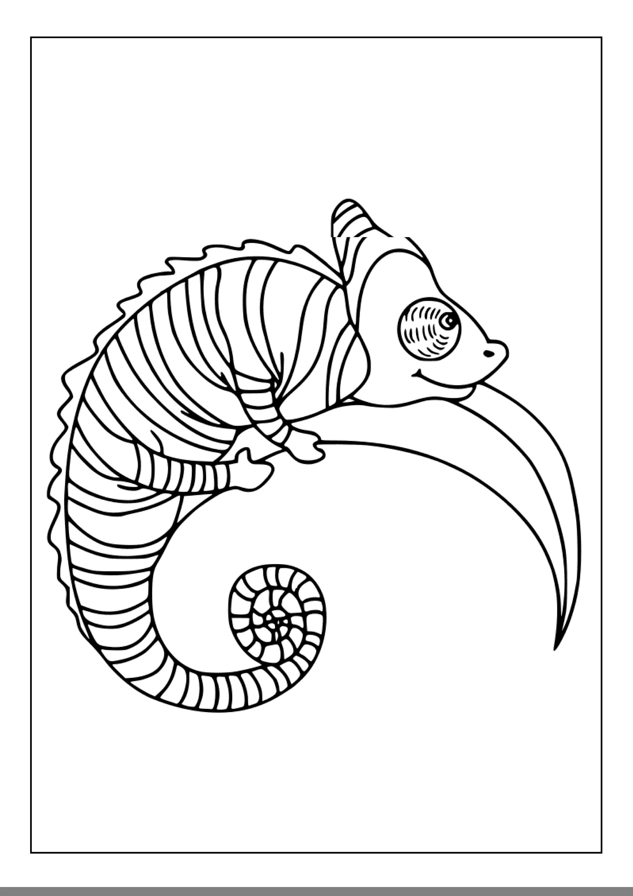 Printable Chameleon Coloring Pages for Kids & Adults 75 - Etsy
