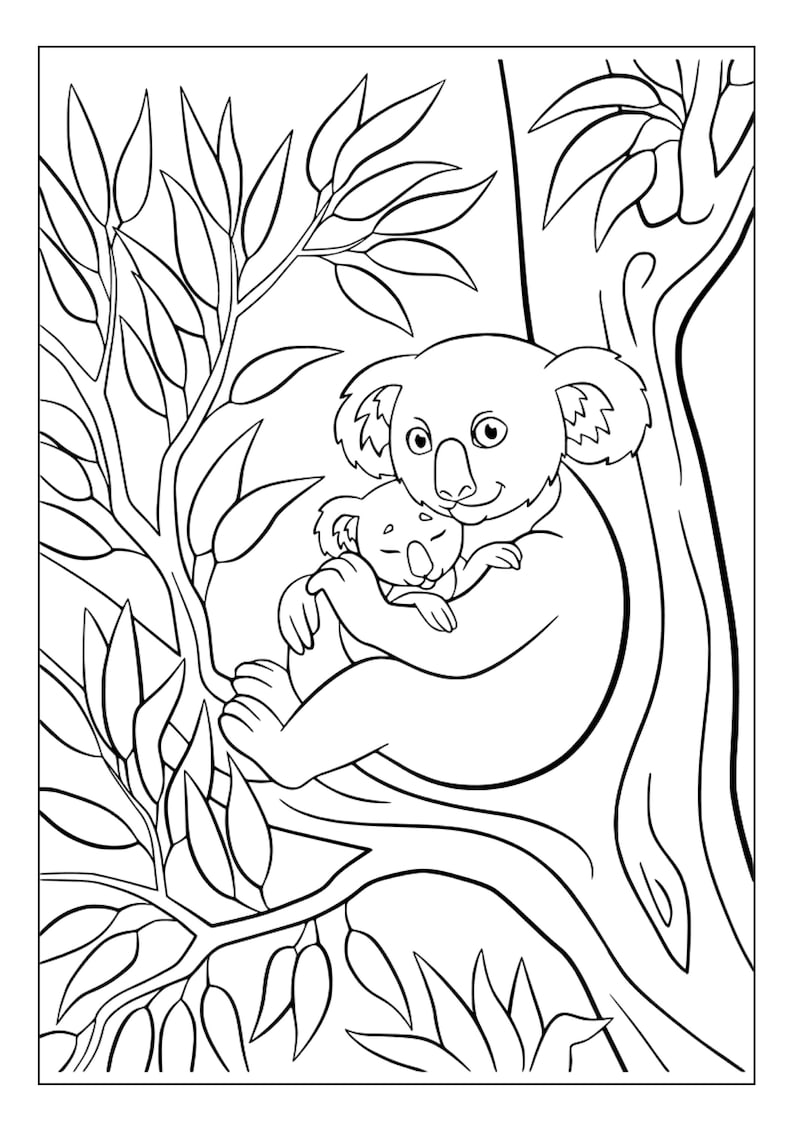 Printable Koala Coloring Pages for Kids and Adults 100 Pages - Etsy