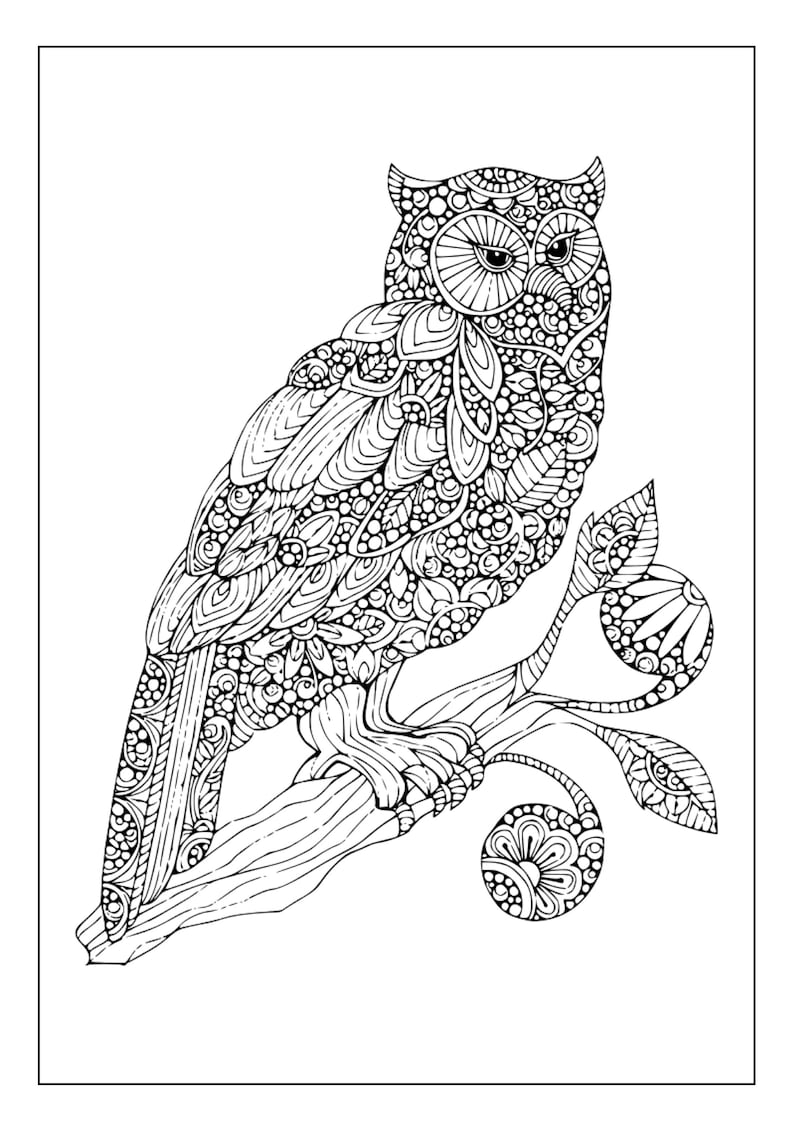 Printable Zentangle Birds Coloring Pages for Kids & Adults | 25 Pages ...