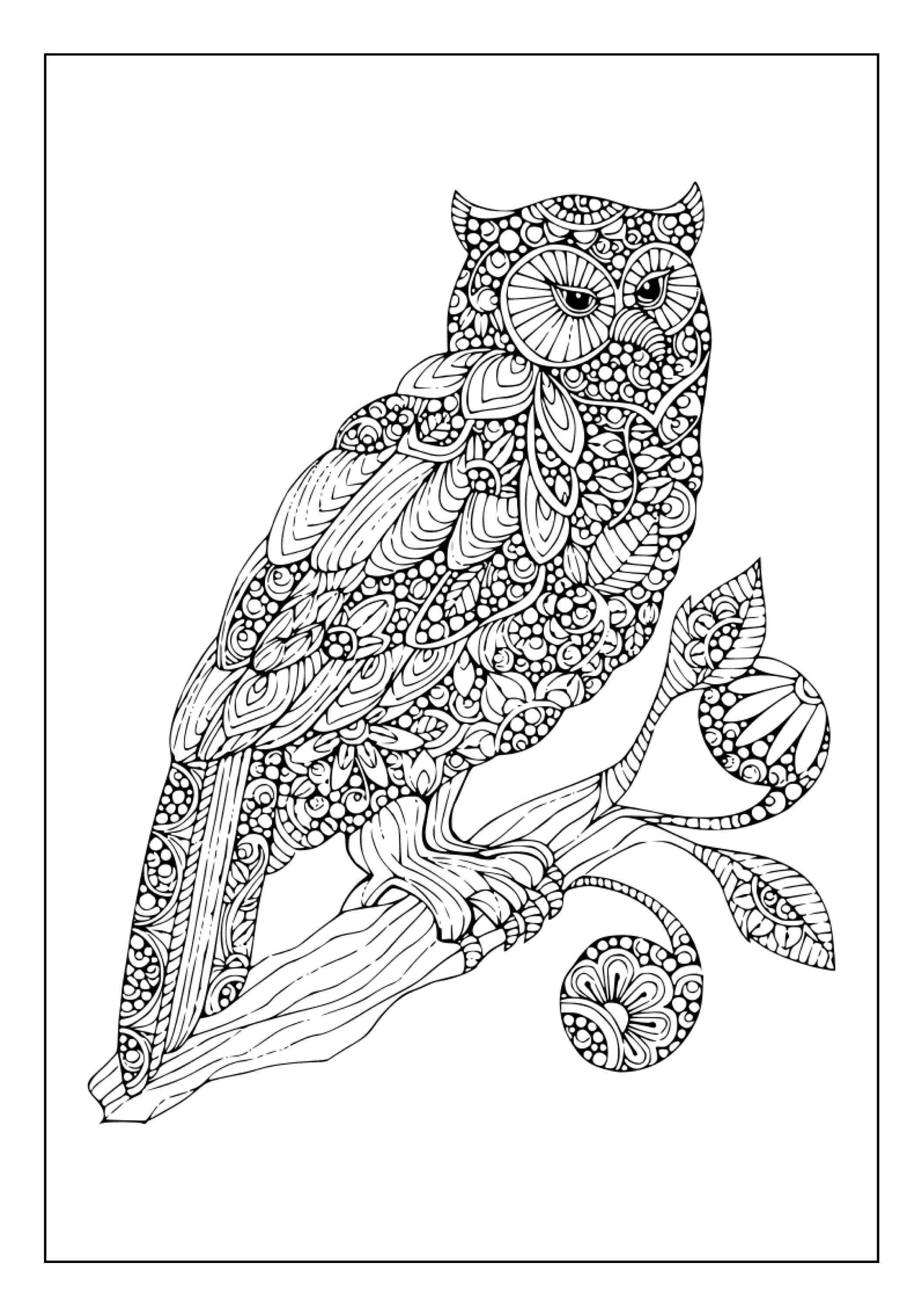 Printable Zentangle Birds Coloring Pages for Kids & Adults 25 Pages ...