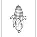Printable Corn Coloring Pages for Kids & Adults | 25 Pages | Instant ...