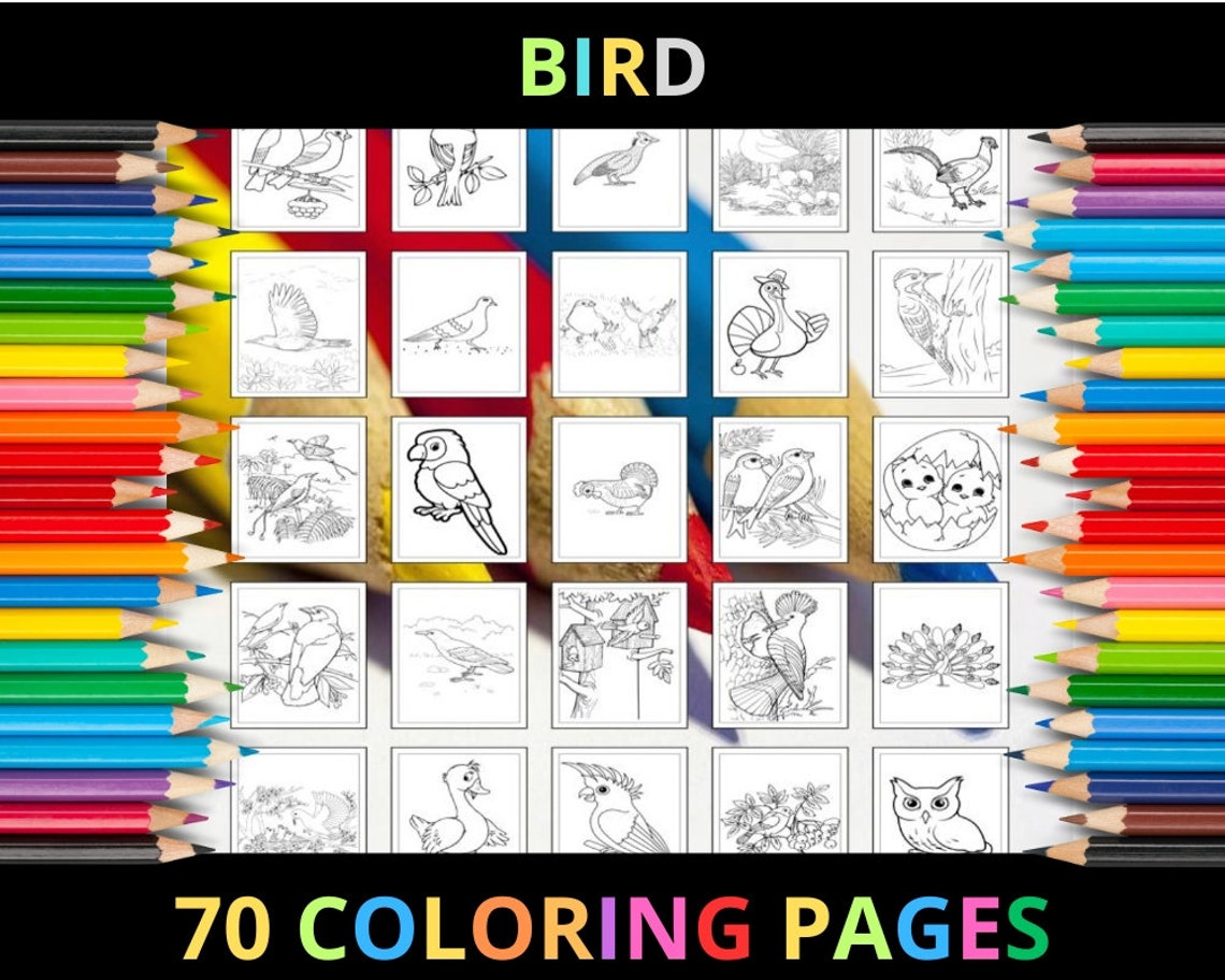 Printable Bird Coloring Pages for Kids and Adults | 70 Pages | Instant ...