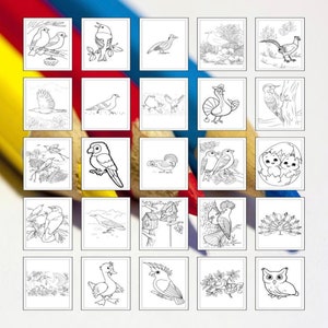 Printable Bird Coloring Pages for Kids and Adults | 70 Pages | Instant ...