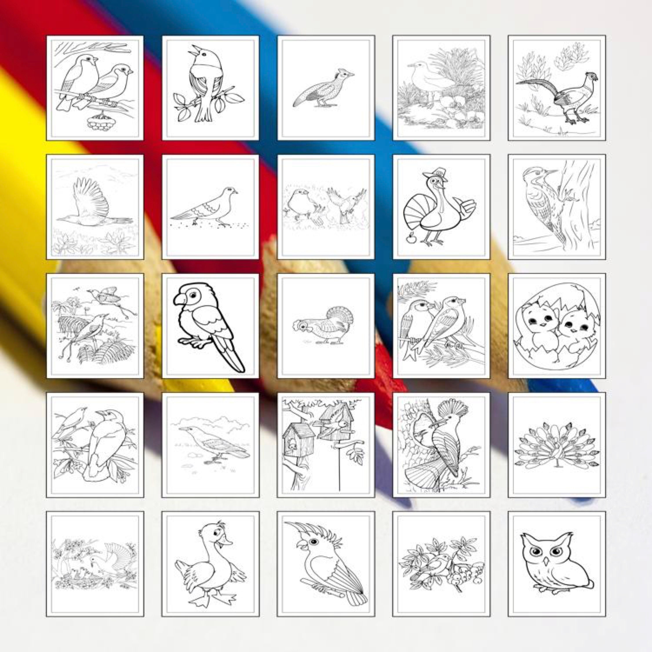Printable Bird Coloring Pages for Kids and Adults | 70 Pages | Instant ...