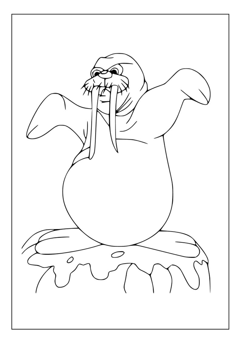 Printable Walrus Coloring Pages for Kids & Adults | 30 Pages | Instant ...
